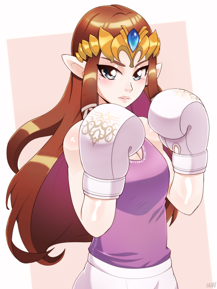Princess Zelda Nintendo The Legend Of Zelda The Legend Of Zelda
