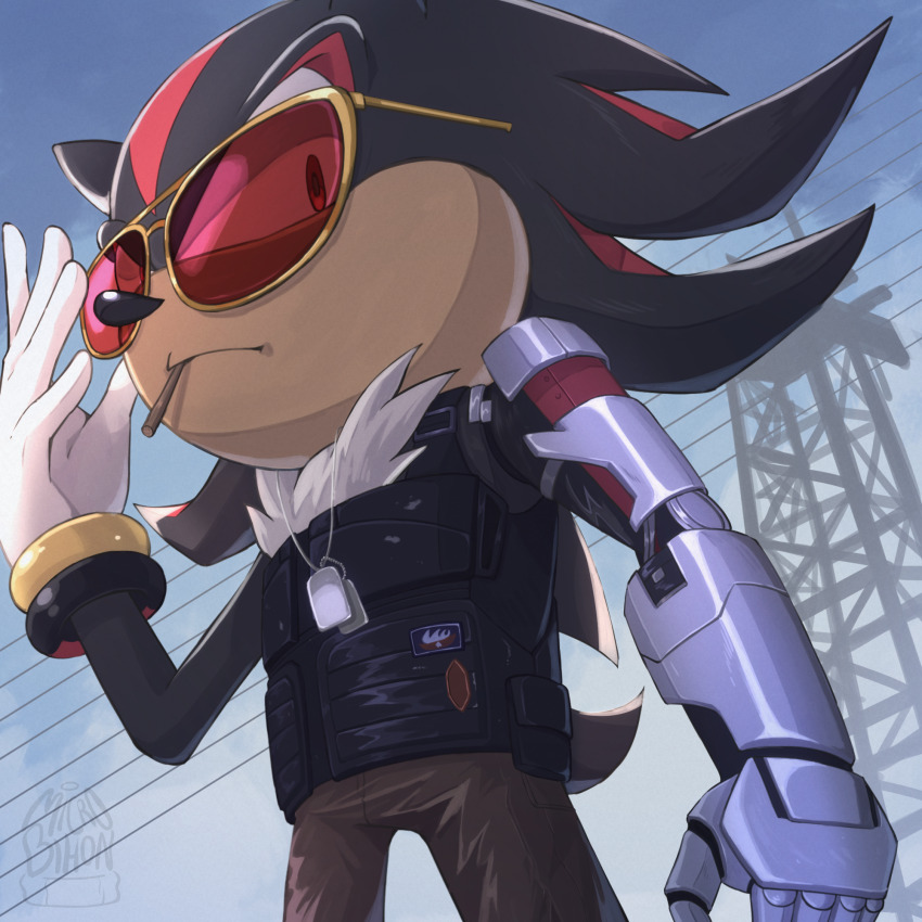 Microbihon Johnny Silverhand Shadow The Hedgehog Cyberpunk Series Cyberpunk 2077 Sonic